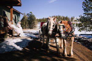 Red Feather Lakes Intimate Wedding in Colorado at Lost Lake